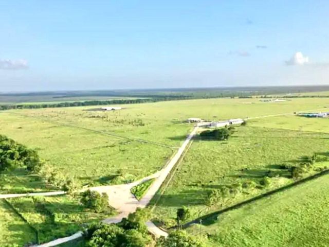 565 County Road 164, Boling, TX 77420 - HAR.com