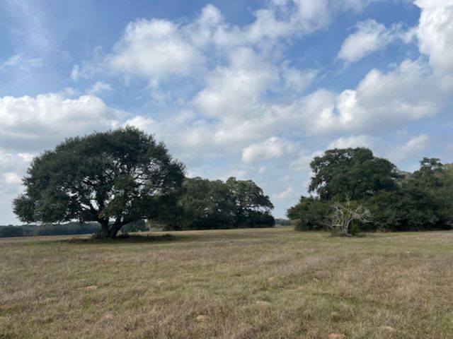 TBD 20 Acres Cat Spring Rd, Cat Spring, TX 78933 - HAR.com